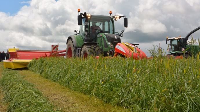 Prairies de longue durée : le bonne dose bonne profondeur pour semis