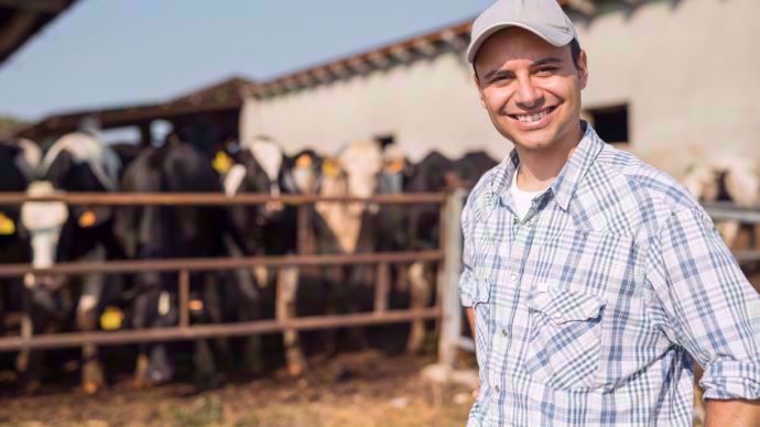 AjiPro-L augmente la production de lait des vaches