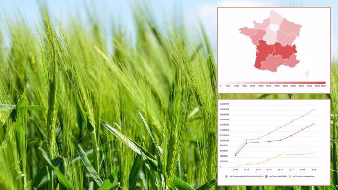 Retrouvez les chiffres clés de la progression de l'agriculture bio en 2019