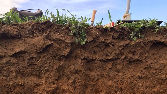 Un profil pour mieux connaître son capital sol