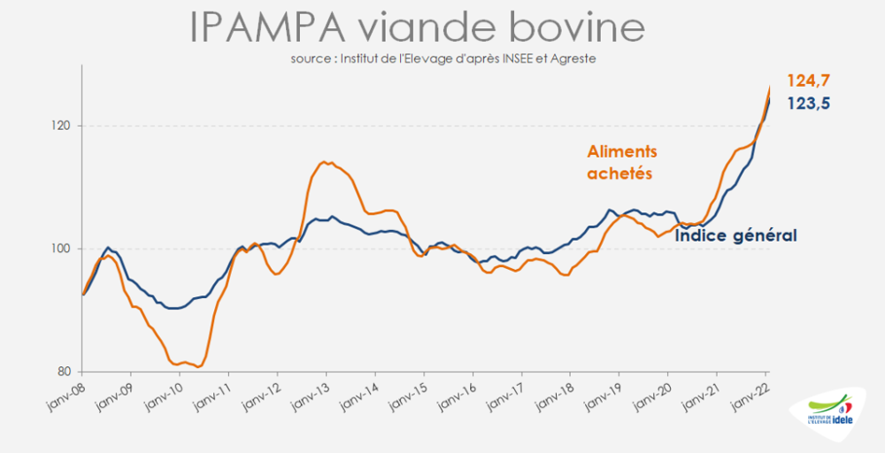 Les prix augmentent en viande bovine mais ne couvrent pas les charges