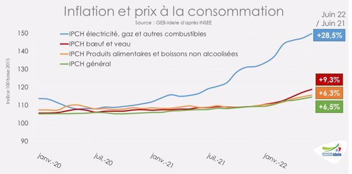 Les ventes au détail de viande bovine progressent en valeur