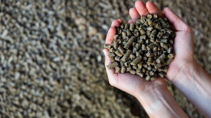 Des prix hauts et volatils pour les tourteaux