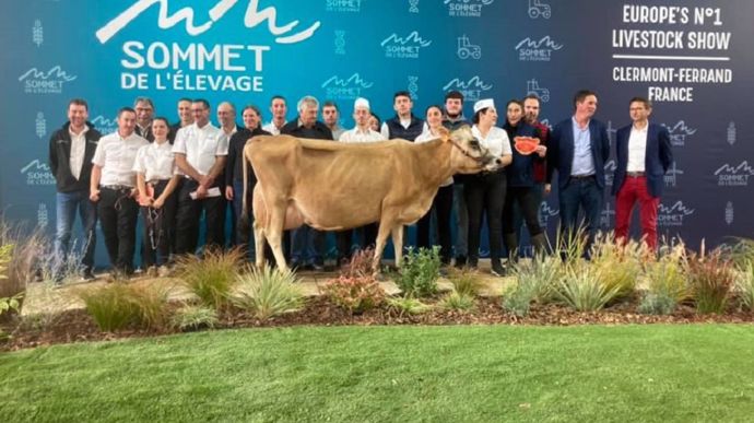 Concours Jersiaise du Sommet de l'élevage 2022 : live, replay, palmarès