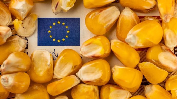 La sécheresse modifie les échanges français et européens de maïs