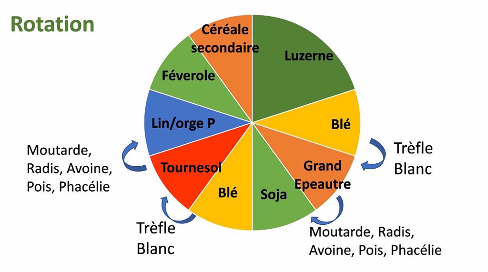 Témoignages d'agriculteurs bio sur leur gestion de la fertilisation azotée