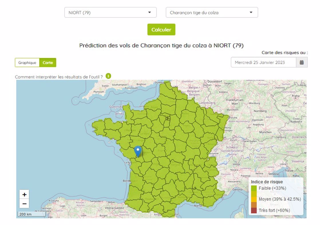 Nouvel outil pour la surveillance des charançons de la tige du colza