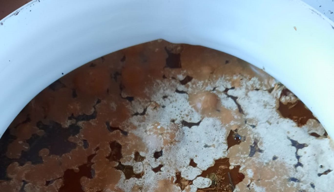 Retours d'essais dans l'Indre avec la lifofer en grandes cultures