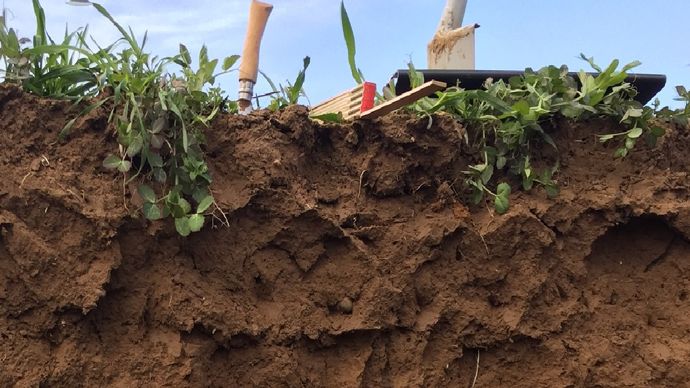 Qu'est-ce que la vie du sol