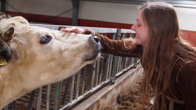 Comment faciliter l'installation des éleveuses