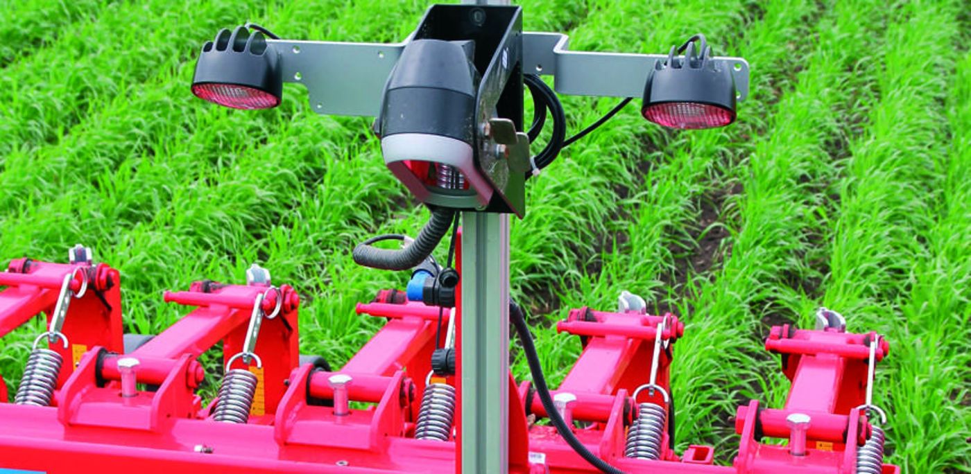 Désherbage : Les bineuses prennent le contrôle