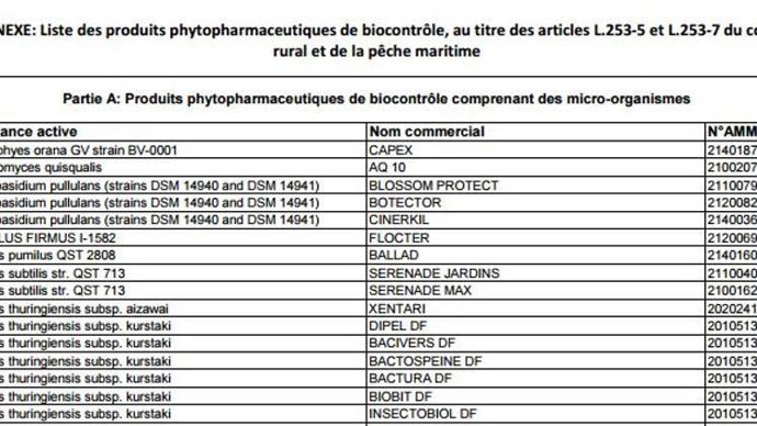 Phytos : La liste officielle des produits de biocontrôle est parue