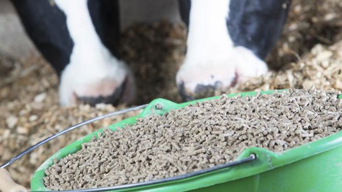 Intrants : La production d’aliments du bétail a augmenté en août