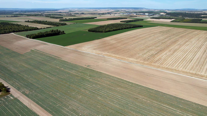 Dossier Pac 2023 : Calculer les points de son assolement pour accéder aux écorégimes