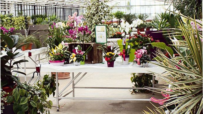 Horticulture Goby : service, convivialité, et communication