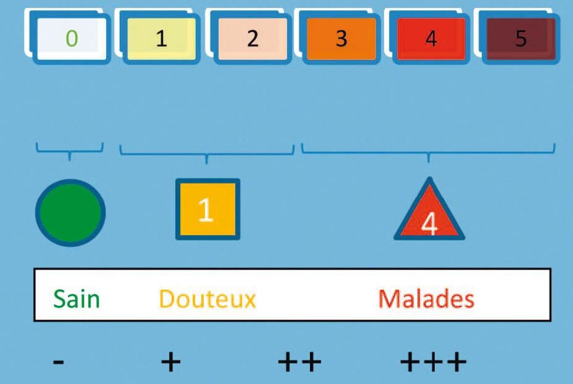 LA DÉMONSTRATION DES DÉGÂTS DE L'ACÉTONÉMIE AVEC LE CÉTO'SCAN