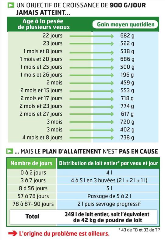 CROISSANCE DES VEAUX : DES CONCENTRÉS BIEN DOSÉS