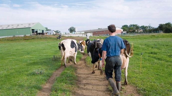 L'ÉLEVAGE FRANÇAIS FACE À SES CONCURRENTS