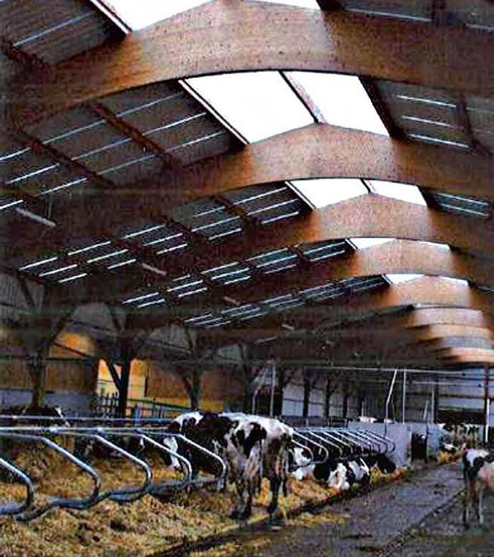 Faîtage ventilé translucide