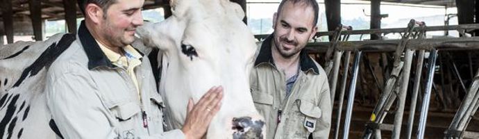 « Le manque de surface nous oblige à être très intensifs