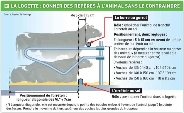 CHOISIR ET INSTALLER SON REVÊTEMENT DE LOGETTES