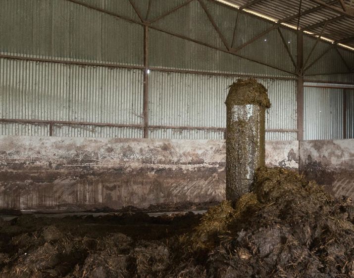 « UN PISTON CONVOIE LE FUMIER MOU VERS LA FUMIÈRE