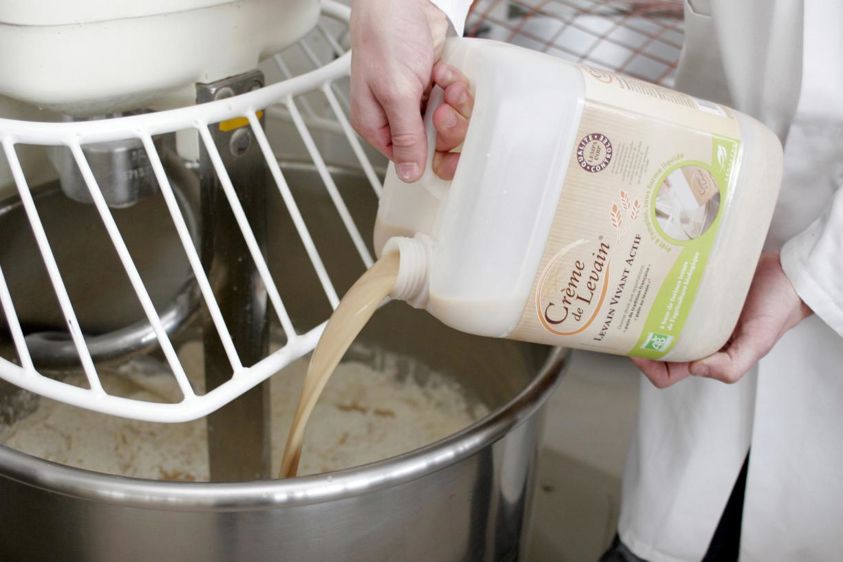 Lesaffre, la levure, toute une aventure