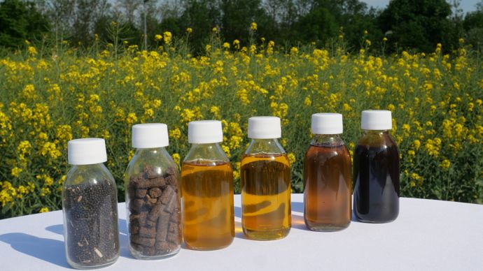 Trituration : Du colza aux produits finis