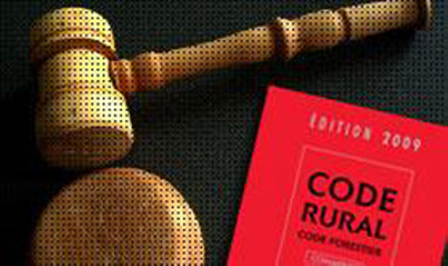 Friche : Retrouver le propriétaire du terrain