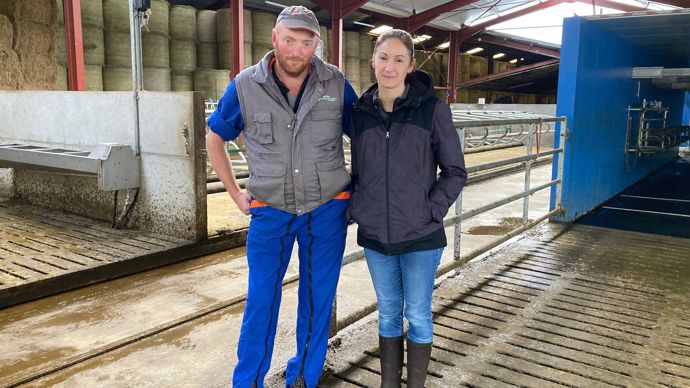Bâtiment : Passer de l’étable entravée aux logettes pour le troupeau ...