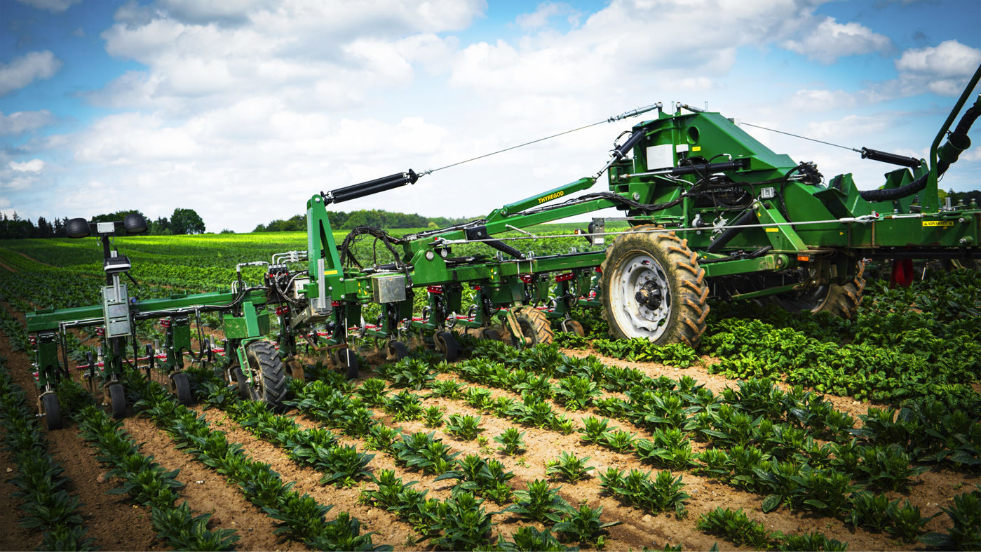 Gros plan sur les bineuses TRV de Thyregod au catalogue Väderstad