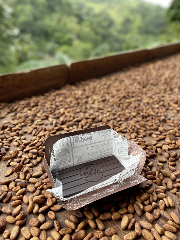 La renaissance du cacao martiniquais