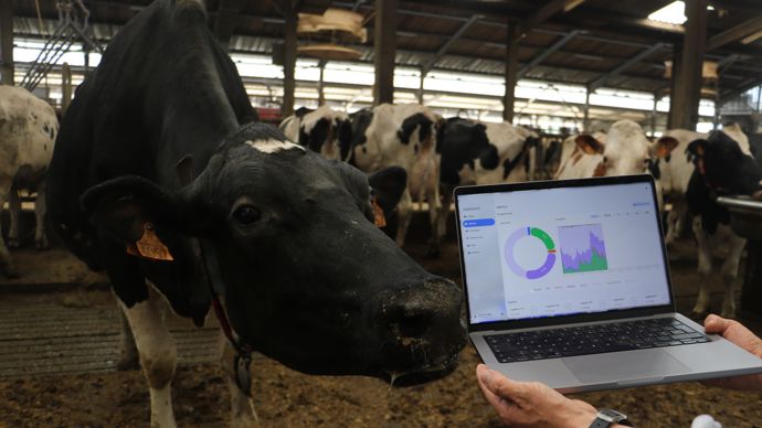 L'intelligence artificielle révolutionne le métier d’éleveur