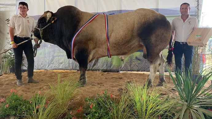 Rocard, champion catégorie taureau, au concours national parthenais