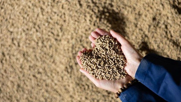 Le marché du tourteau de soja est baissier, selon Patricia Le Cadre