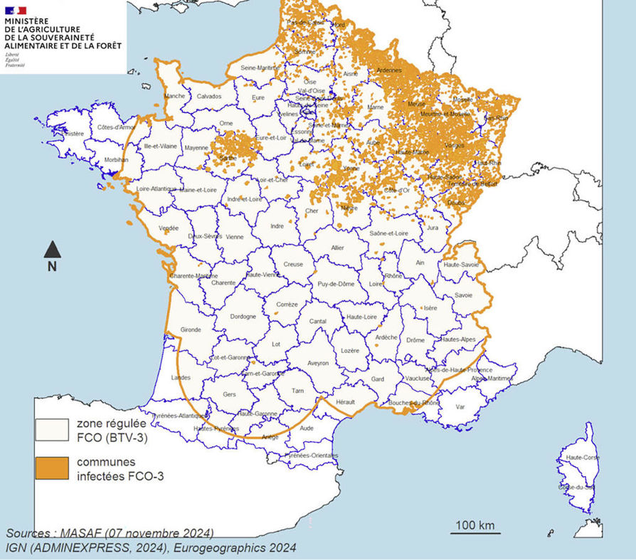 Où en est le virus de la FCO-3 en France?