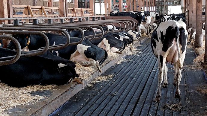 Bioret Agri, Magellan 25, le tapis conçu pour durer
