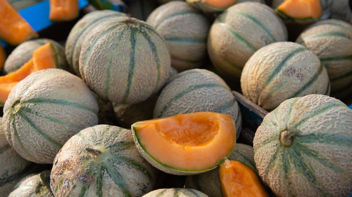La production française de melons est attendue en hausse en 2025