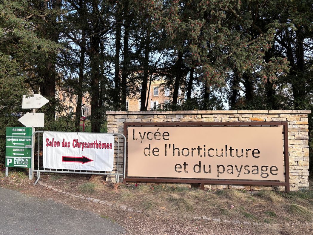 En vidéo : Un 10? Salon d’automne des Chrysanthèmes dynamique à Tournus