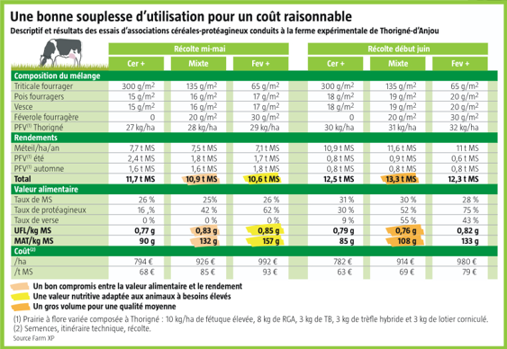 Méteil : la féverole booste les protéines, et les rendements
